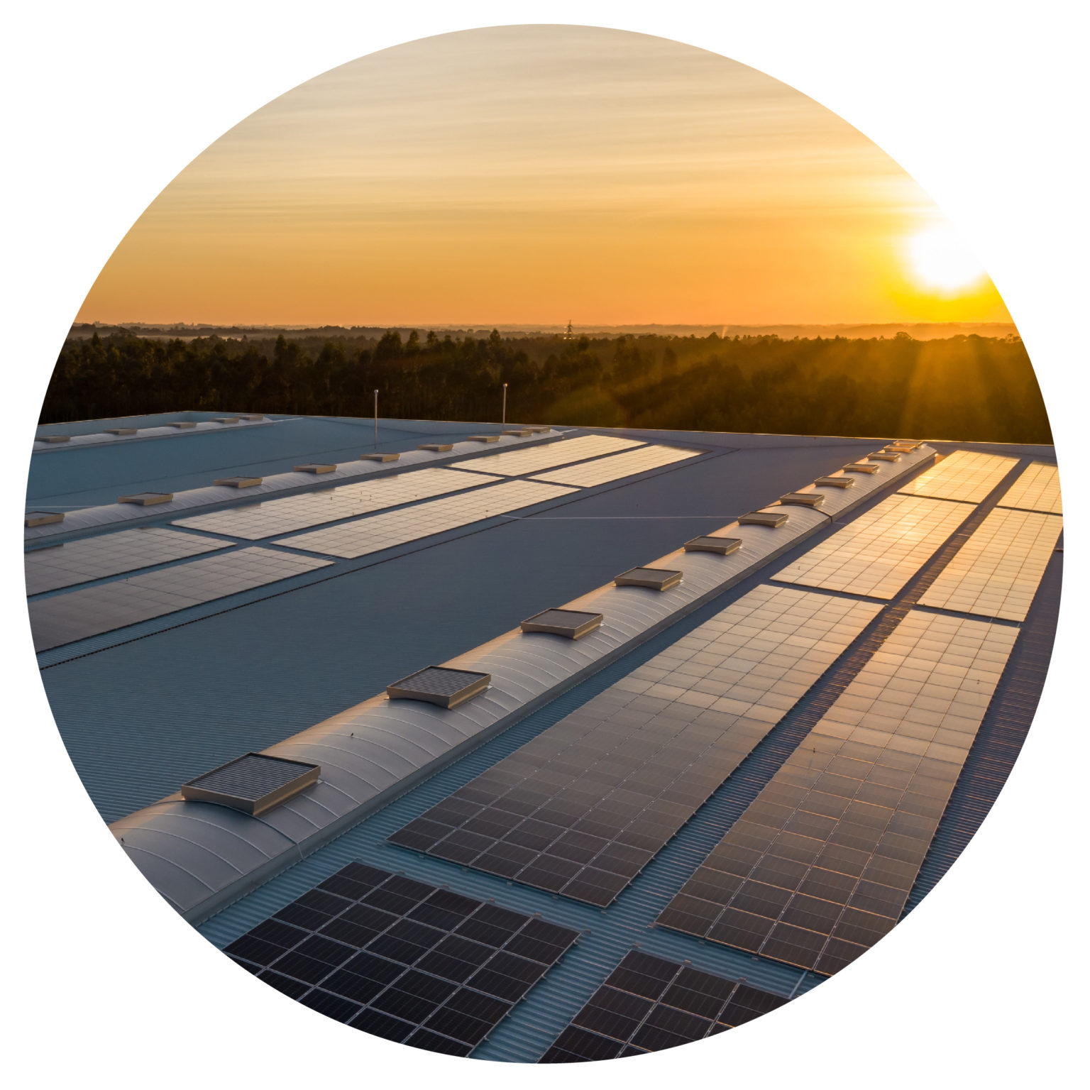 Sustainability: Solar PV & Battery Storage | Indigo Swan