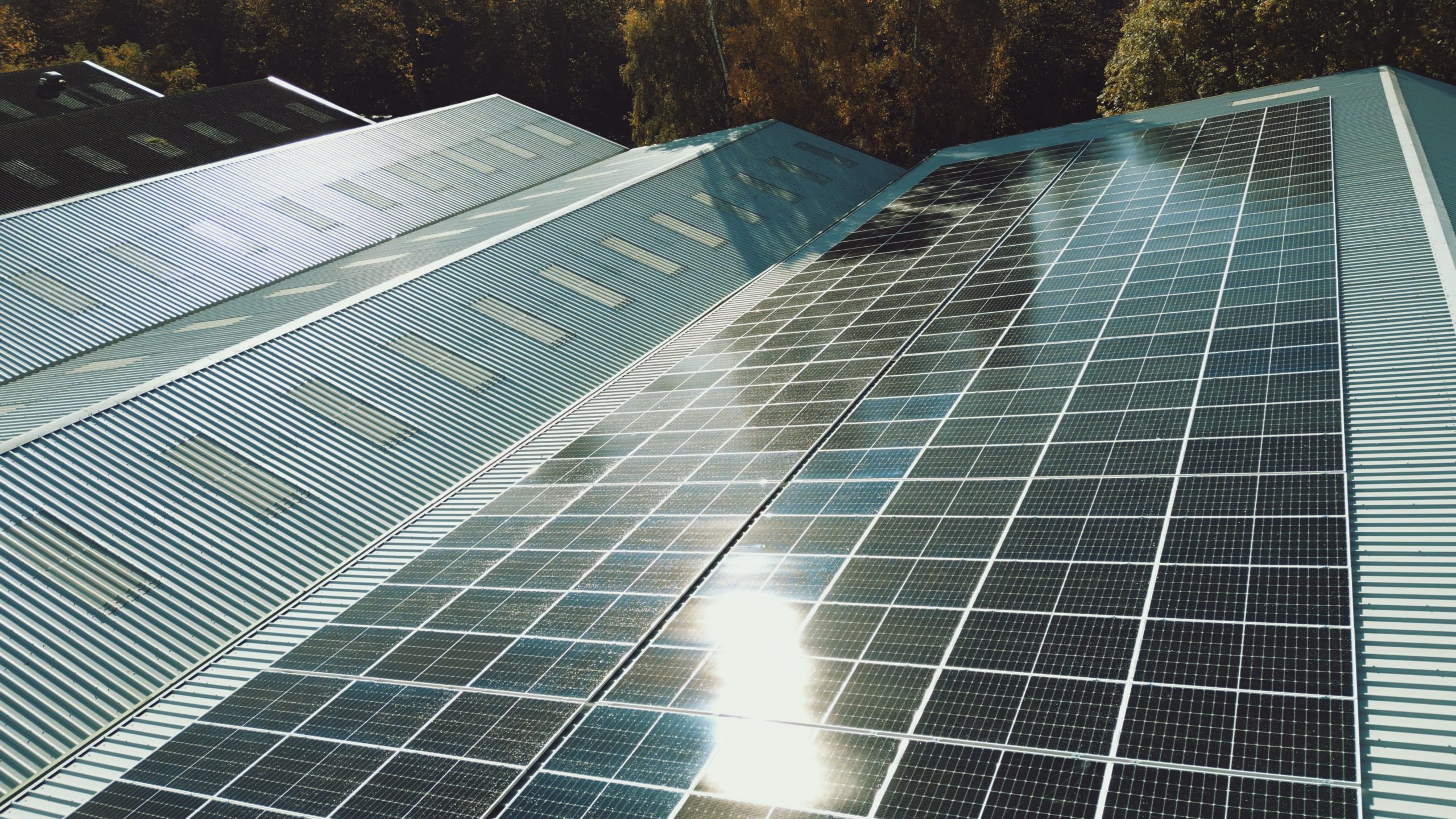 Gnaw Solar Testimonial | Indigo Swan